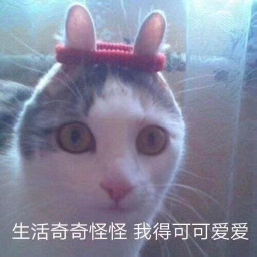 若见88 