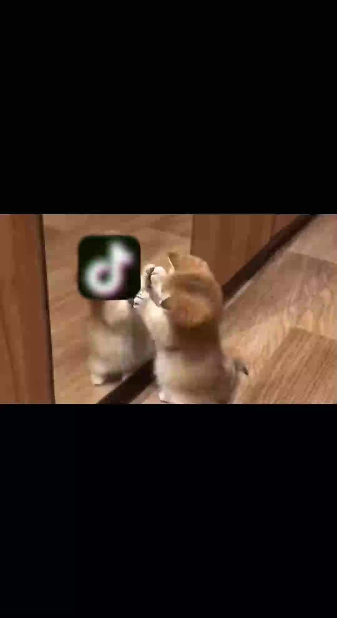 【辟谣】设置一下手机就不卡了?从打开开发者模式起你就被骗了!