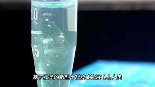 基于肽类的新型水凝胶或能展现出人类机体组织和器官损伤修复的巨大...