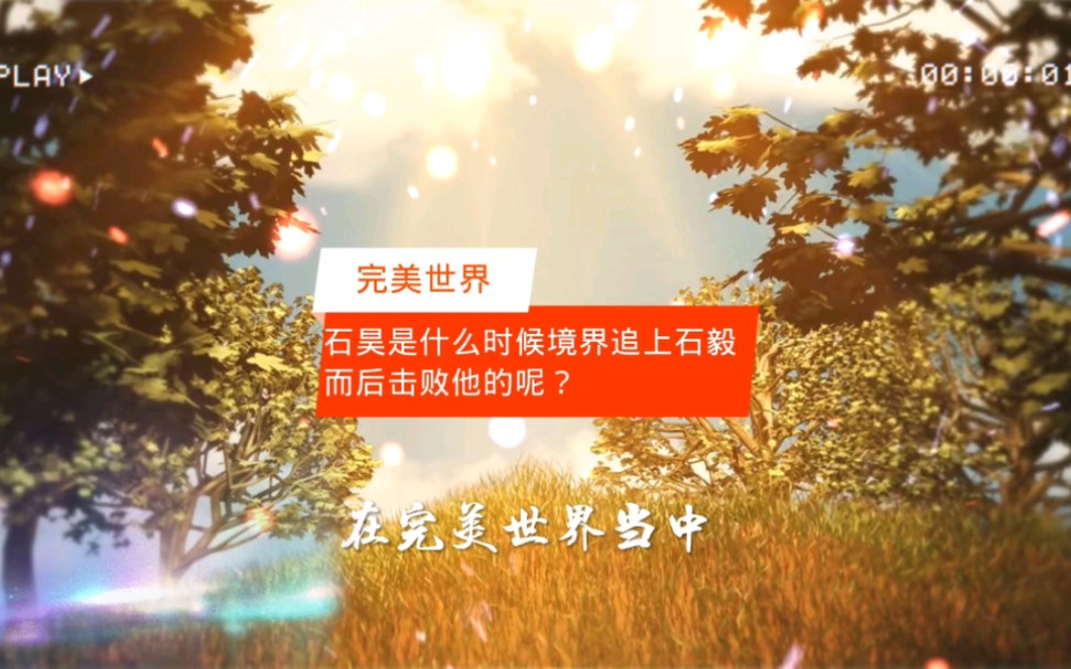 《完美世界》中石昊是什么时候境界追上石毅,而后击败他的呢?