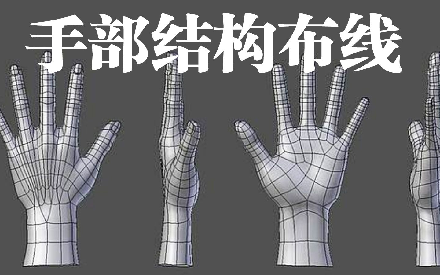 手部建模布线 手掌结构详细教学 零基础3DMAX人物建模新手必备技巧