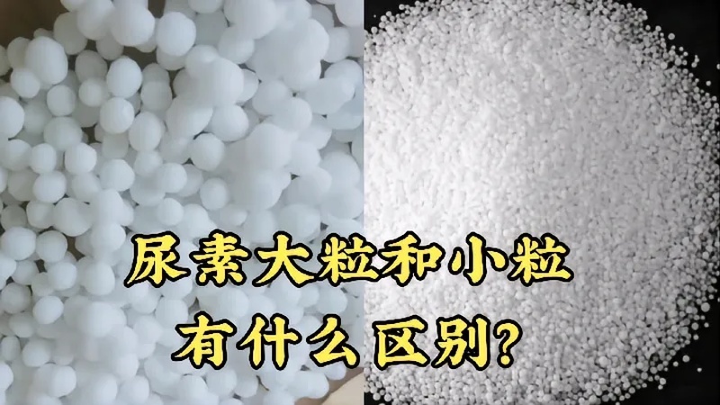 市场上所买的尿素,有大颗粒和小颗粒,有什么区别吗