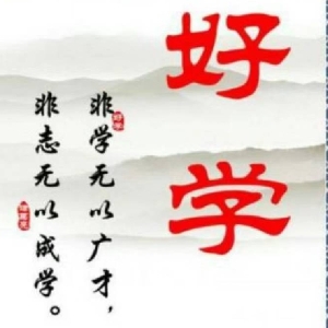 tianyou31刘亚文 