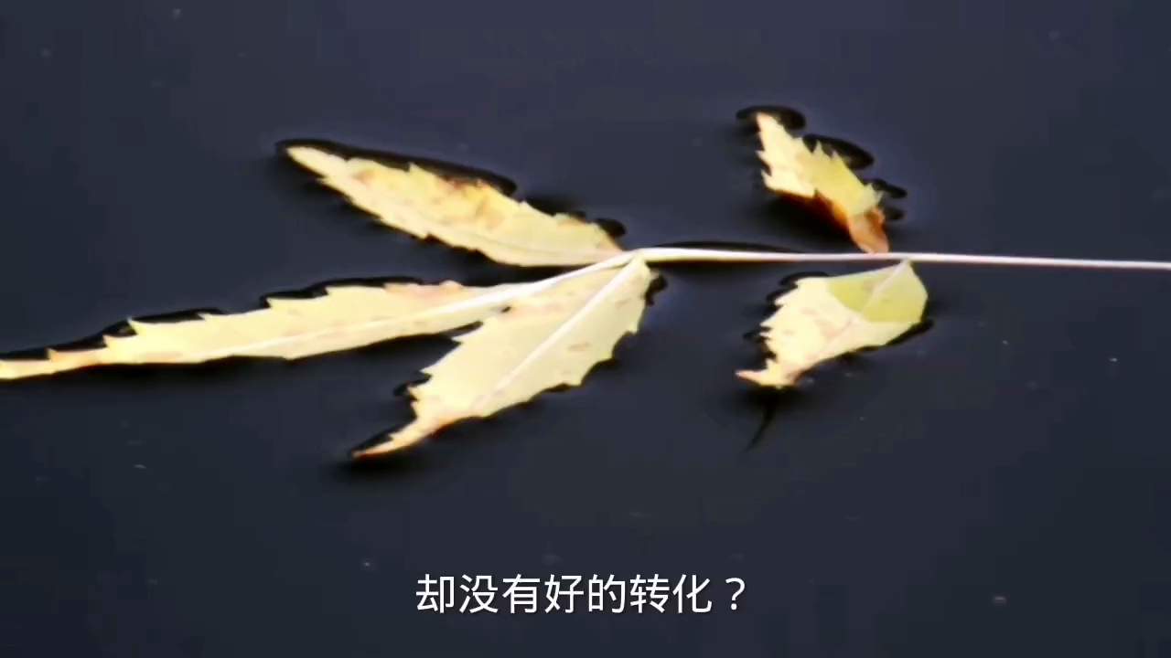 ...#10万余元现金被当垃圾丢了 #城南线上营销招商 #大通线上营销企业