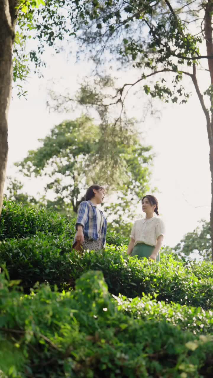 ...穿越后换个身份,妈妈你还可以再爱我一次吗? #微短剧化蝶 #首部越剧...