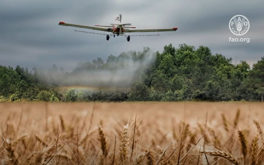 ...着农业发展和粮食安全,调节温室气体排放并促进植物、动物和人类健康
