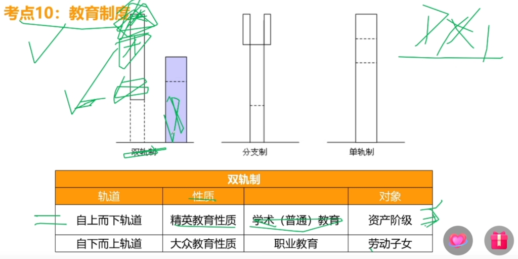 教育制度——双轨制,单轨制,分支型学制