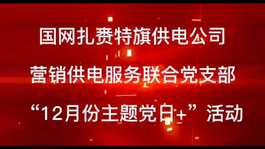 营销供电服务联合党支部开展“12月份主题党日+”活动
