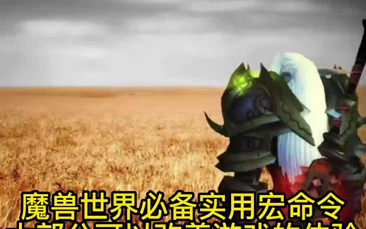 魔兽世界实用的几个宏命令分享