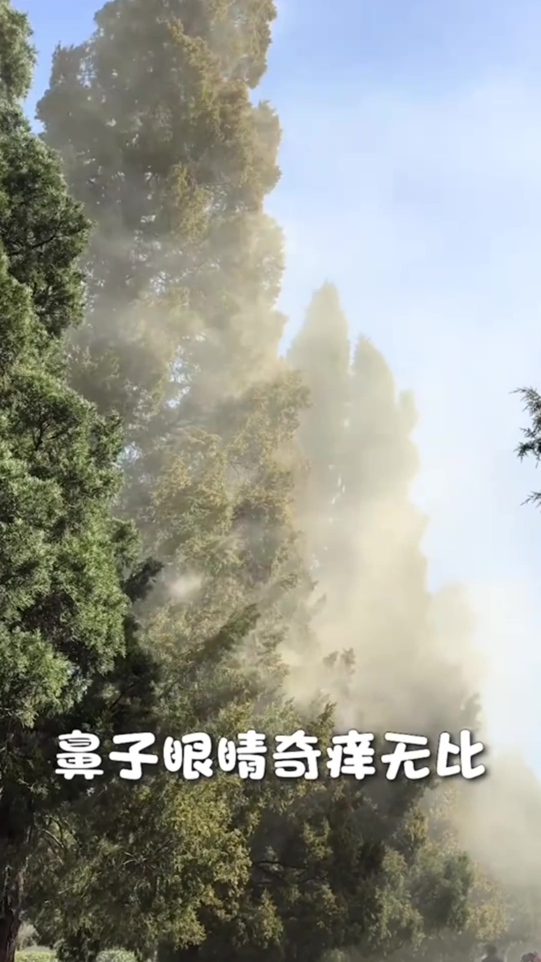 鼻炎ߑ�?眼角痒?注意防护ߘ�! #花粉季提前上线 #过敏季生存指南 #...