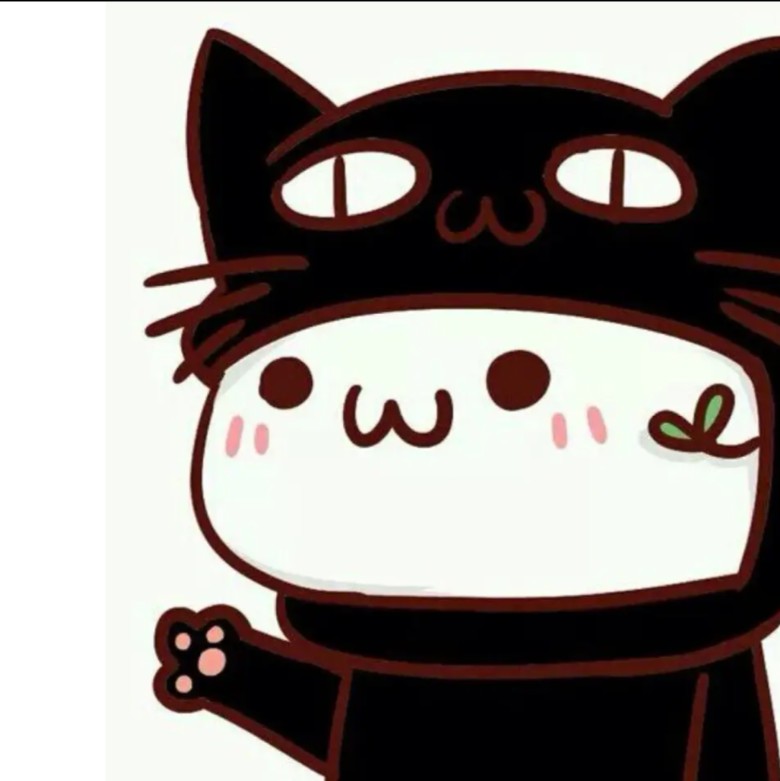 迷之_猫咪 