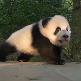 不修仙没前途 