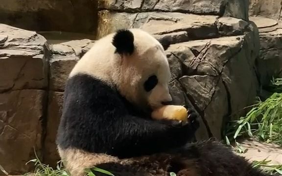 【水果冰和蜂蜜水:缓解排黏】1.华动官网在“问-答”栏目里,科普了大...