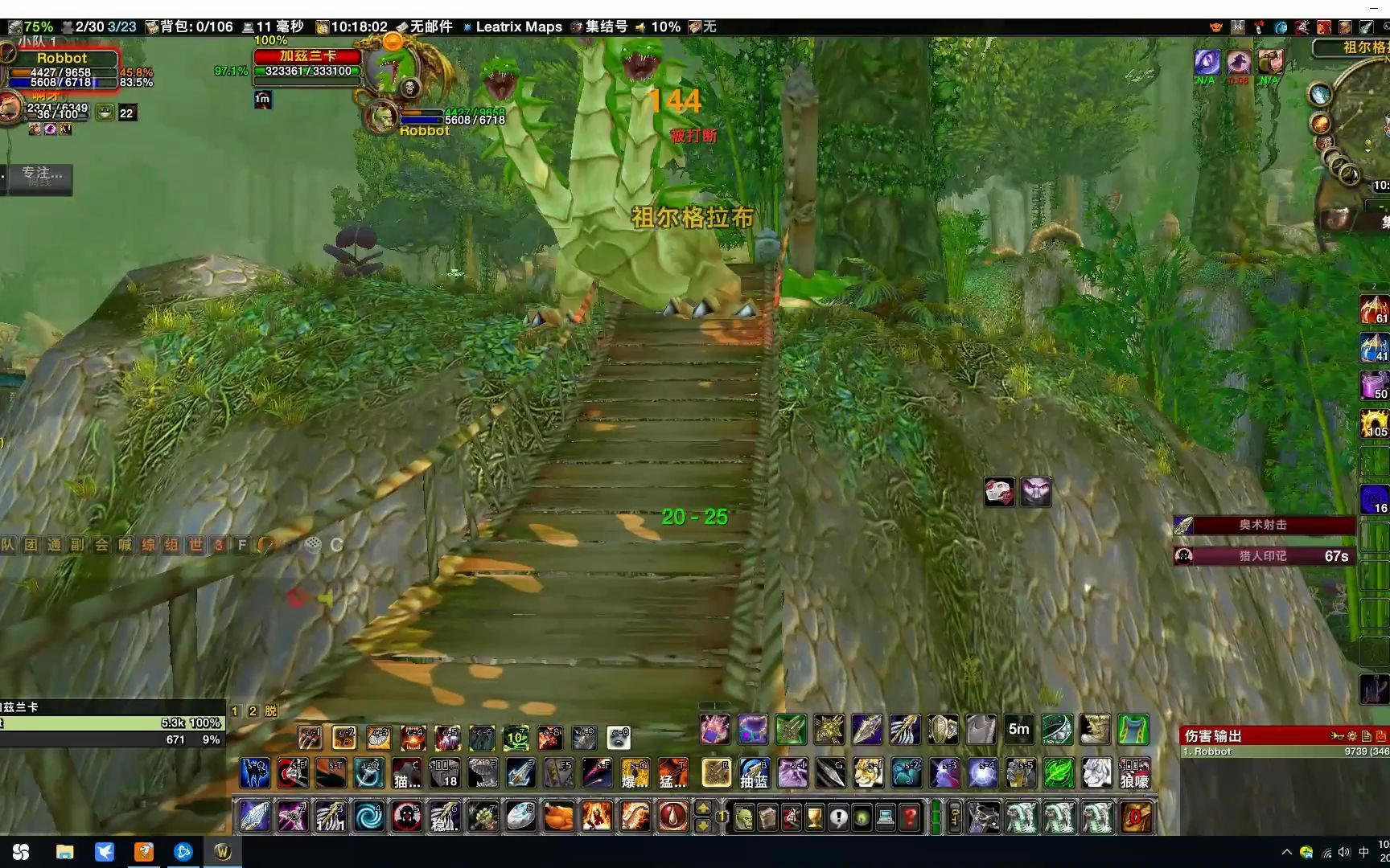 LR-(第一视角 )单刷ZG鱼BOSS-沉静式_魔兽世界_第一视角