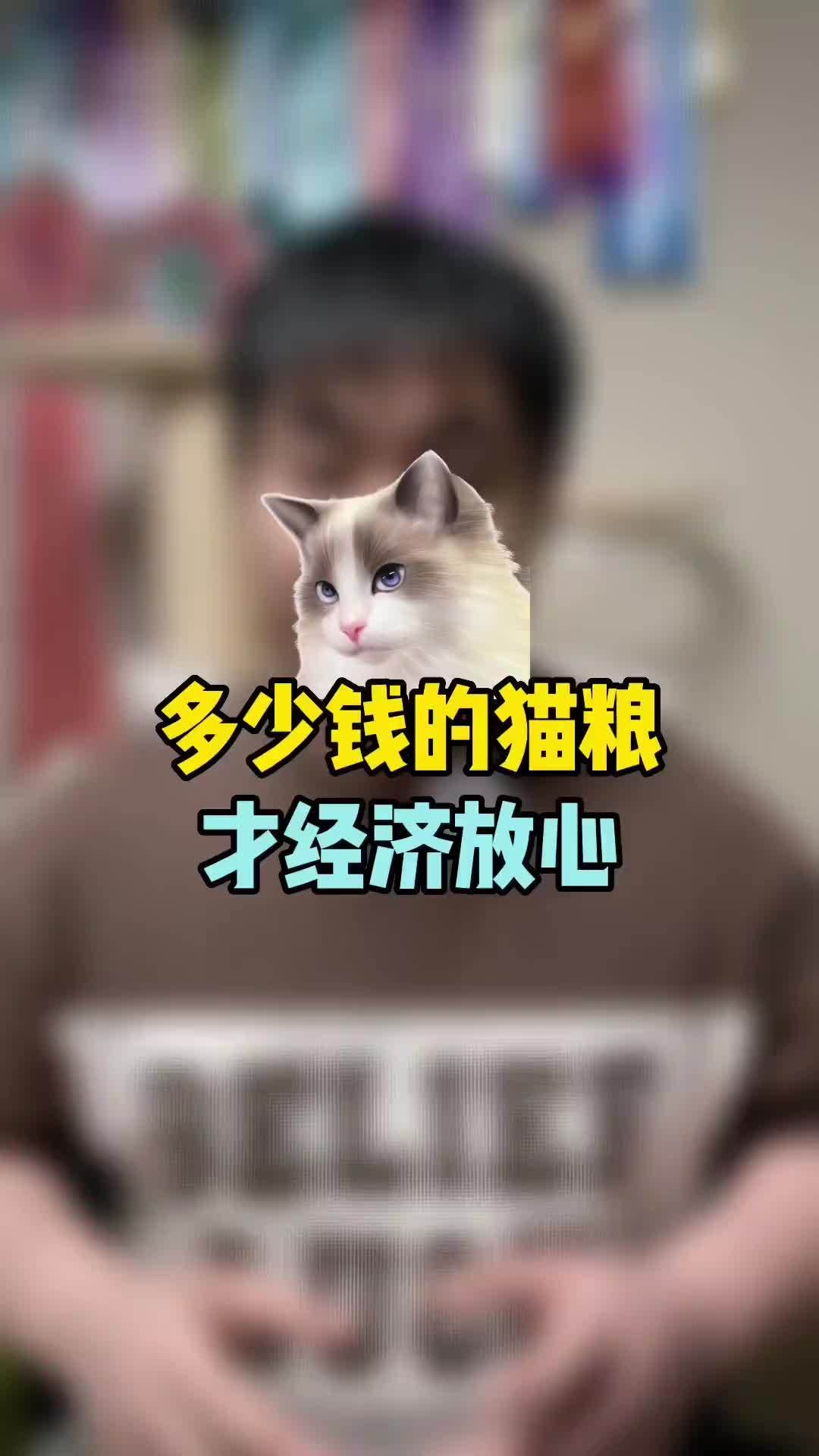 一分价一分货,到底多少钱的猫粮才经济放心。