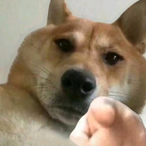 自私的老鼠 