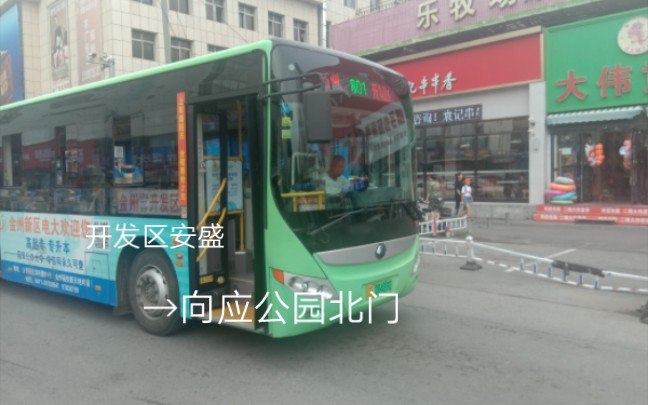 ...大连昌赫客运公司801路公交车向应公园北门-开发区安盛全程票价两元