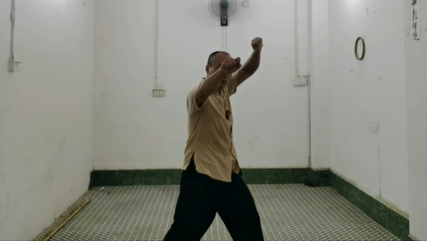 傅式四象拳部分动作,健身娱乐