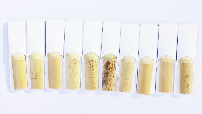 萨克斯哨片修剪最简单实用的方法,哨片寿命提升10倍,果断收藏