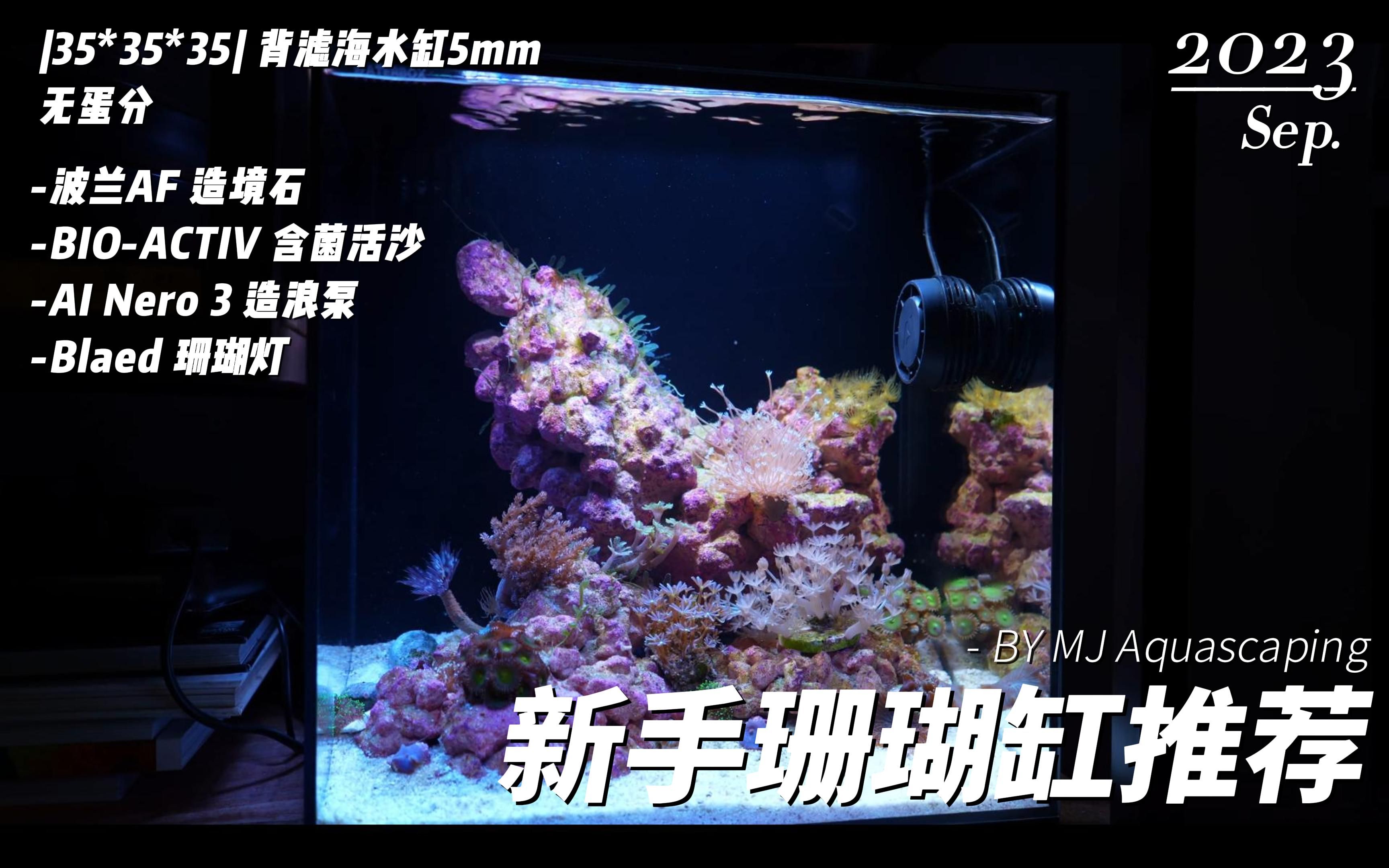 【海缸笔记】水族-35背滤珊瑚海缸