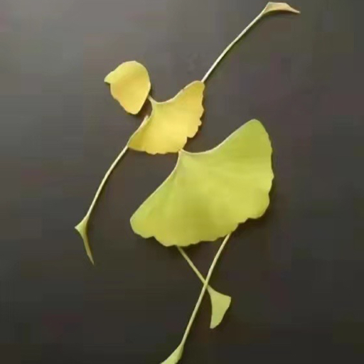 红姐带你学数学 