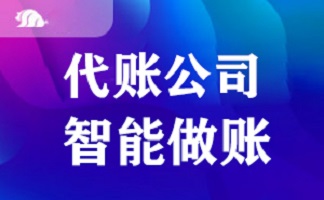 上海市辖区代账公司一般用什么财务软件,代账公司一般用什么财务...
