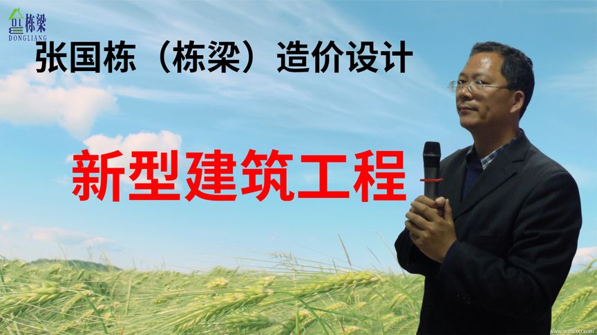 张国栋(栋梁)造价设计:工程造价规范走向数字智能