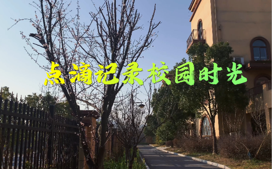 龙山湖小学组织升旗仪式与跑操,点滴记录校园春色,不负春光好
