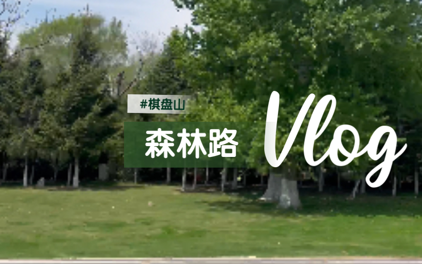 沈阳棋盘山森林路