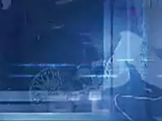 汽车底盘维修之九检查或更换制动蹄(片)
