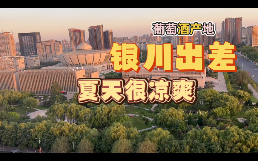 税审出差在银川