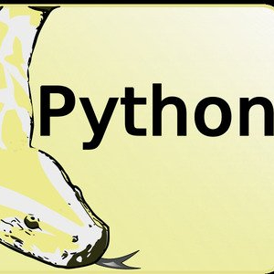 python入门到进阶 