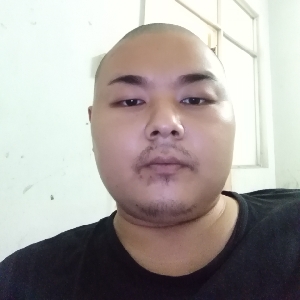打工肥仔 