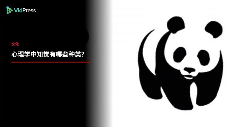 心理学中知觉有哪些种类?