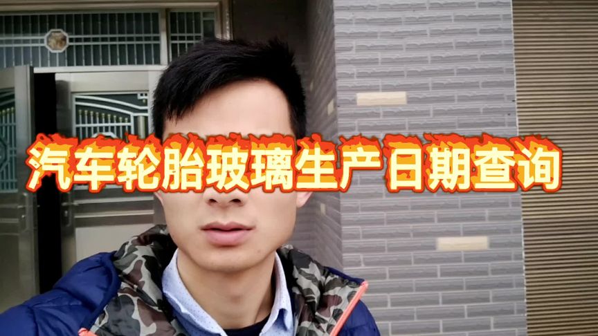 汽车轮胎和生产日期查询