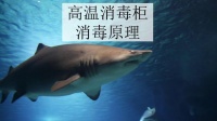 德森高温消毒柜消毒原理注意事项