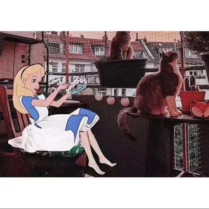 萧寒影视 