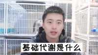 什么是基础代谢,只要把它弄明白,你的减重路上就不再辛苦