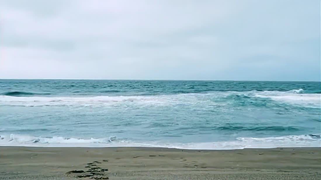 真实的海啸有多厉害?这场大海啸让日本经济足足倒退.
