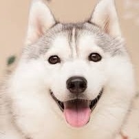 朱大善人-美股版 