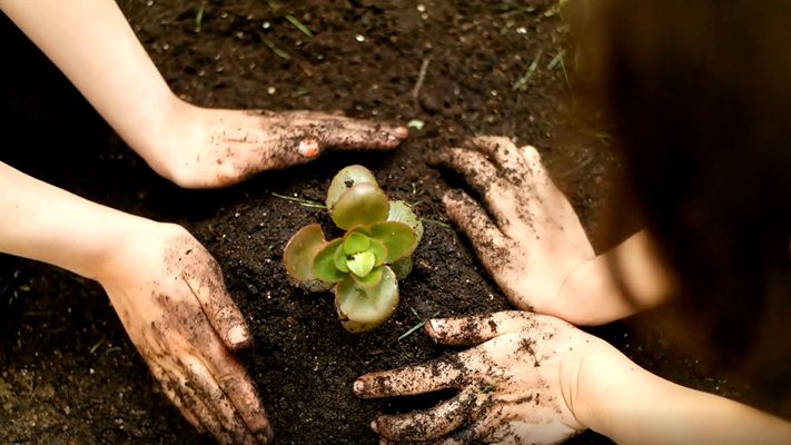 【微视频】世界环境日丨对“你”的保护,不是说说而已