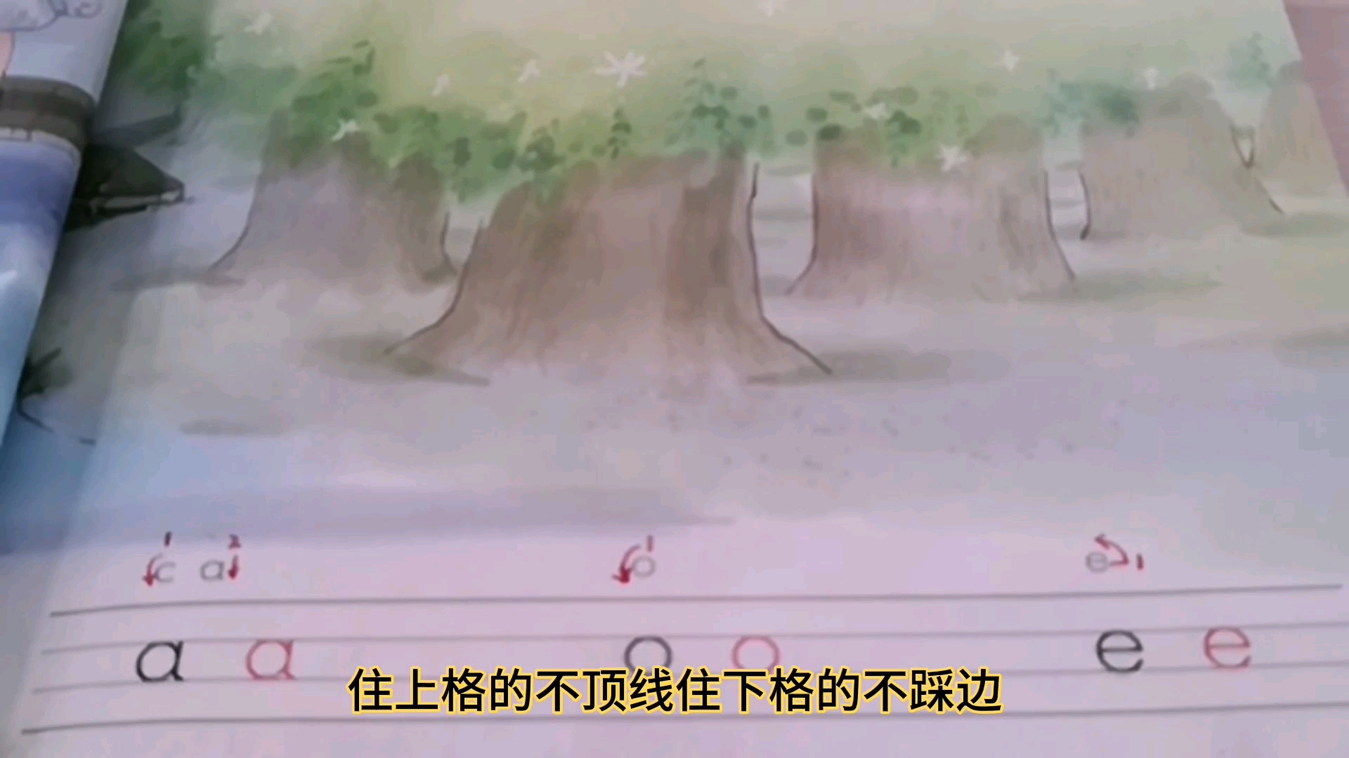 一年级汉语拼音:aoe(下)认识四线三格,学写韵母和四声调