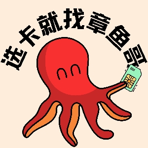 流量卡大章鱼 