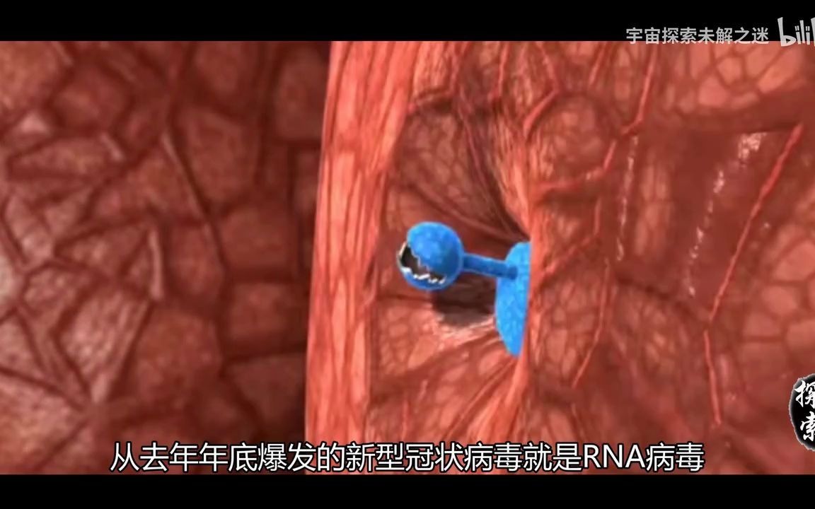 宇宙探索未解之迷2021年病毒是什么?新型冠状病毒离开宿主细胞中,将...