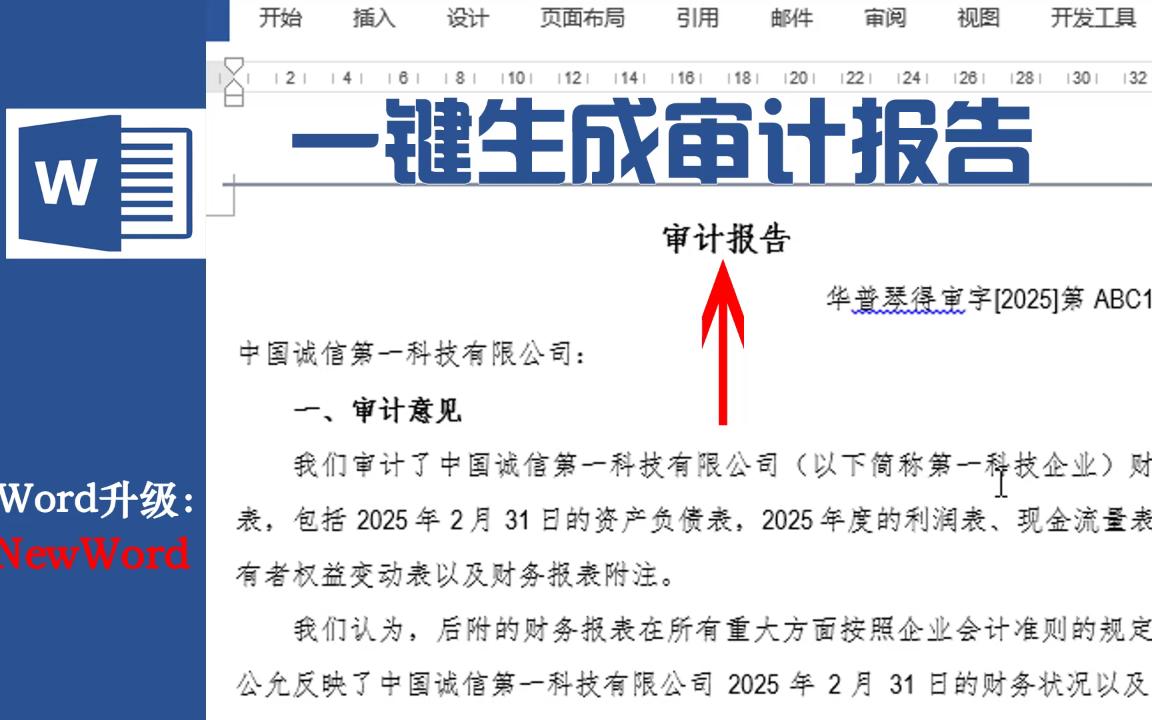 Excel生成Word,NewWord如此生成审计报告