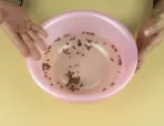 花椒加白醋泡脚太厉害了,很多人都不知道它的作用,看完你会感谢我!