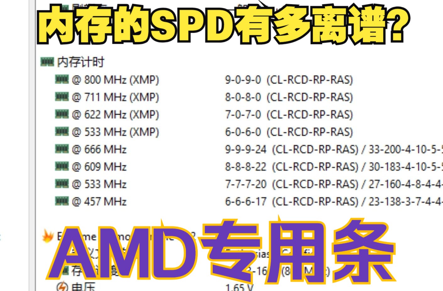 AMD专用条的spd有多离谱(ql2x\ql3x\1151\h110\b150\h310\ddr3内存\...