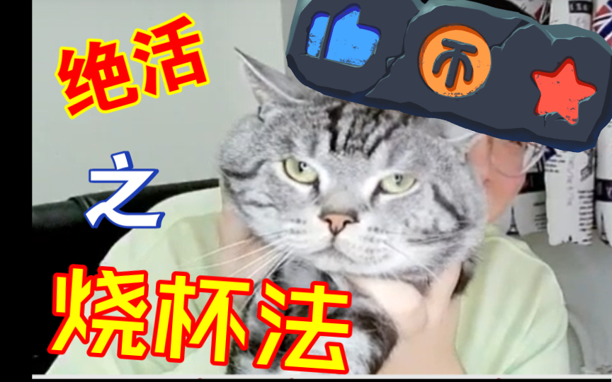 【斯伟的化学课】根据化学方程式的计算(2)