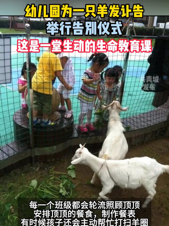 这是一堂最好的生命教育课