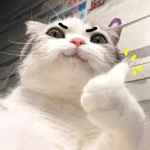 loodg 